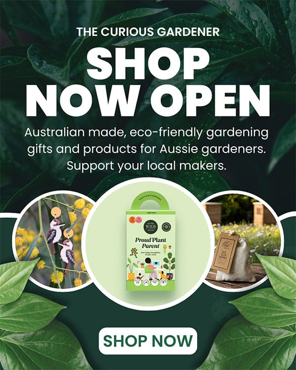 Green Looper Caterpillars - The Curious Gardener